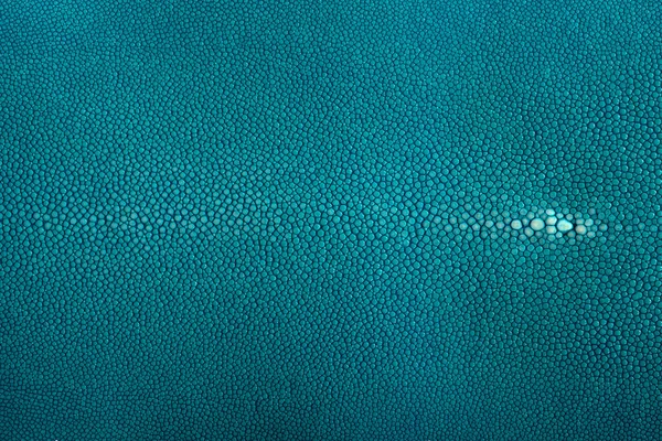 Stingray texture Stock Photos, Royalty Free Stingray texture Images ...