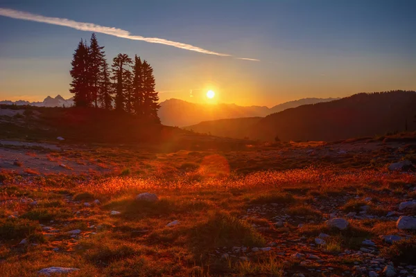 Peaking Stock Photos, Royalty Free Peaking Images | Depositphotos®