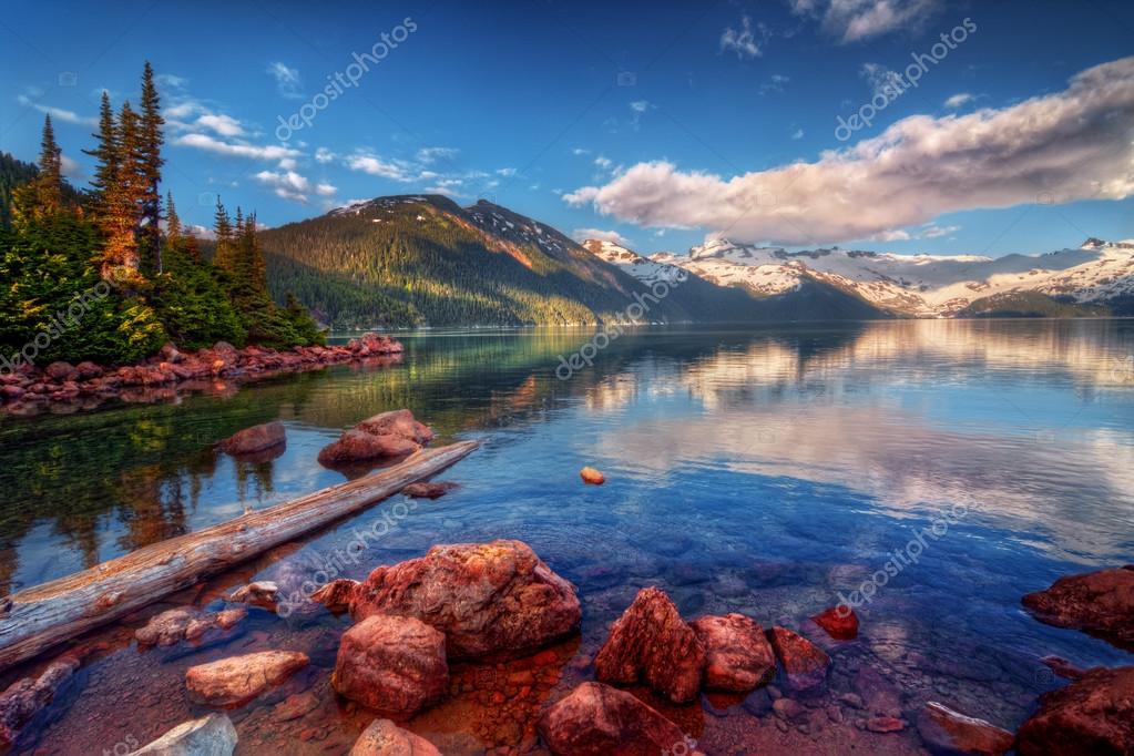 Sunken logs in mountain lake Stock Photo by ©WestCoastScapes 93376302