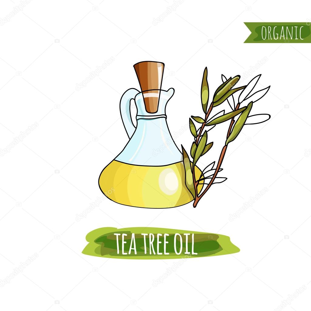 Bottle of Tea Tree Oil and painted in watercolor style. Organics. Stock ...