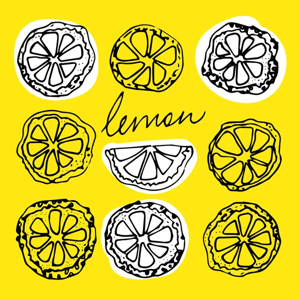 Citrus doodle set — Stock Vector © fandorina #8729113