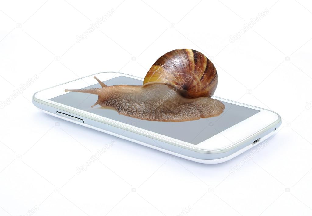 Snail on smart phone on white background , Fast slow concept — Stock ...