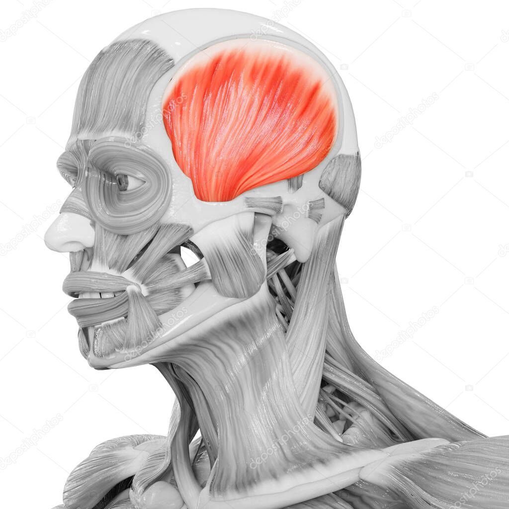 Editar esta imagenID de ilustración en stock libre de regalías ...