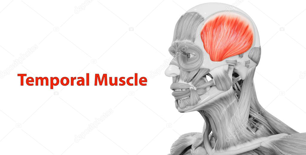 Editar esta imagenID de ilustración en stock libre de regalías ...