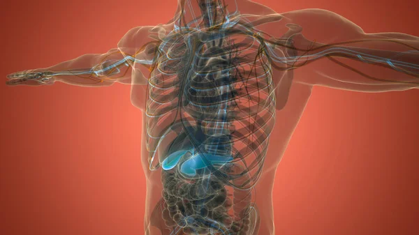 Vintage medical poster Stock Photos, Royalty Free Vintage medical ...