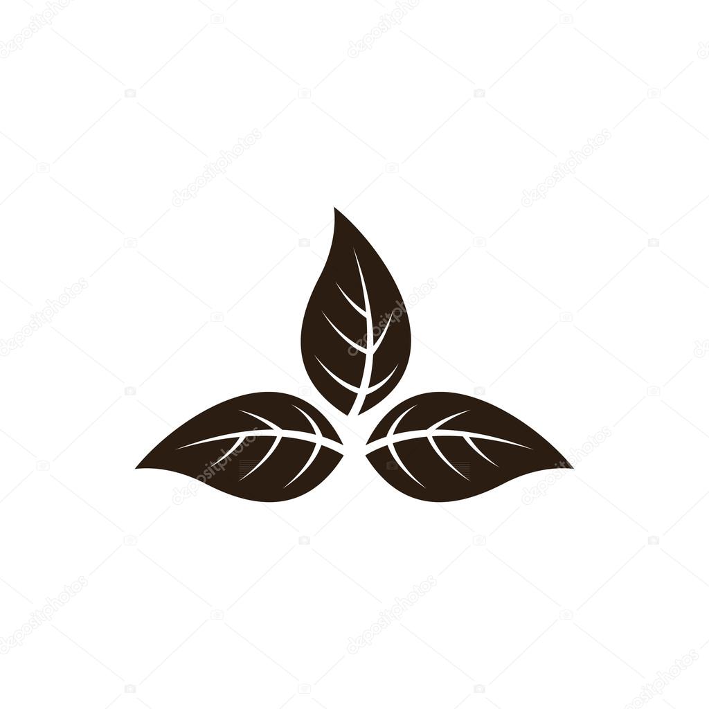 Tobacco Leaves Flowers ⬇ Vector Image by © mizlatic | Vector Stock ...