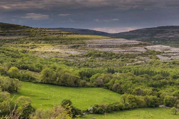 Irish hills Stock Photos, Royalty Free Irish hills Images | Depositphotos