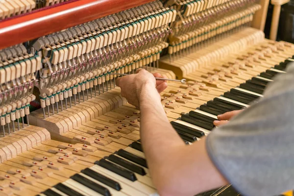 Piano tuning process. closeup of hand and tools of tuner working on ...