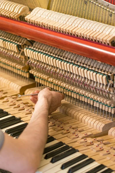 Piano tuning process. closeup of hand and tools of tuner working on ...