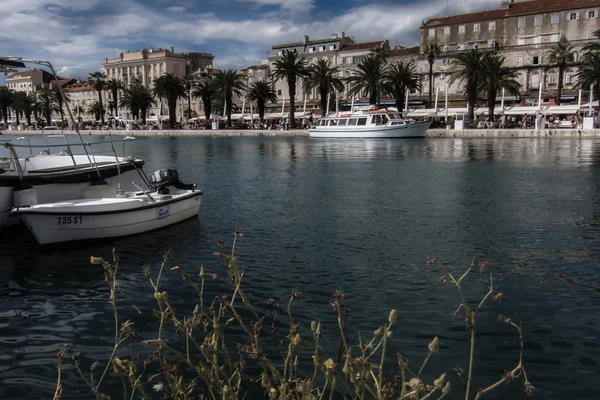 Split water view Stock Photos, Royalty Free Split water view Images ...