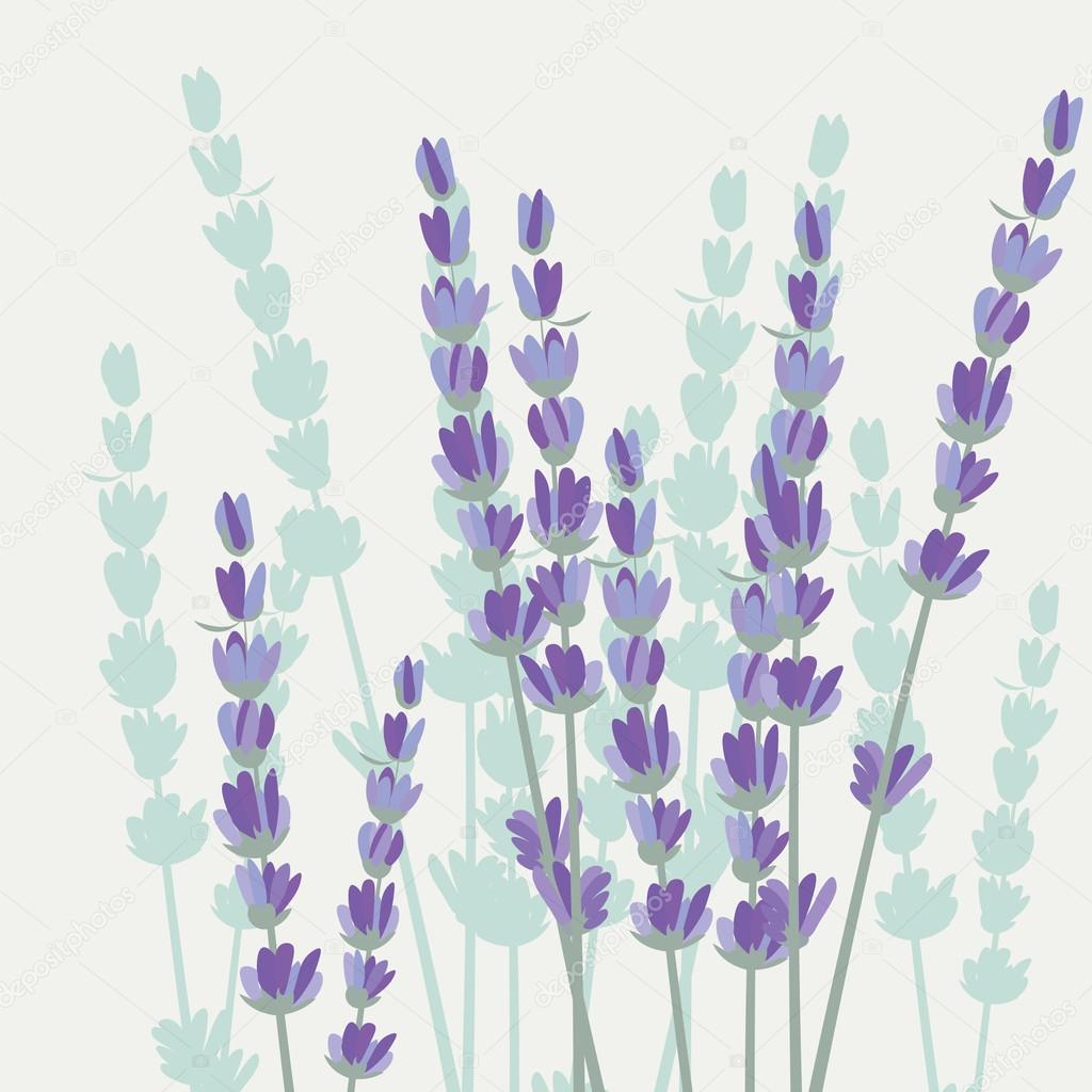Vintage primavera acuarela fondo con flores de lavanda Vector de stock ...