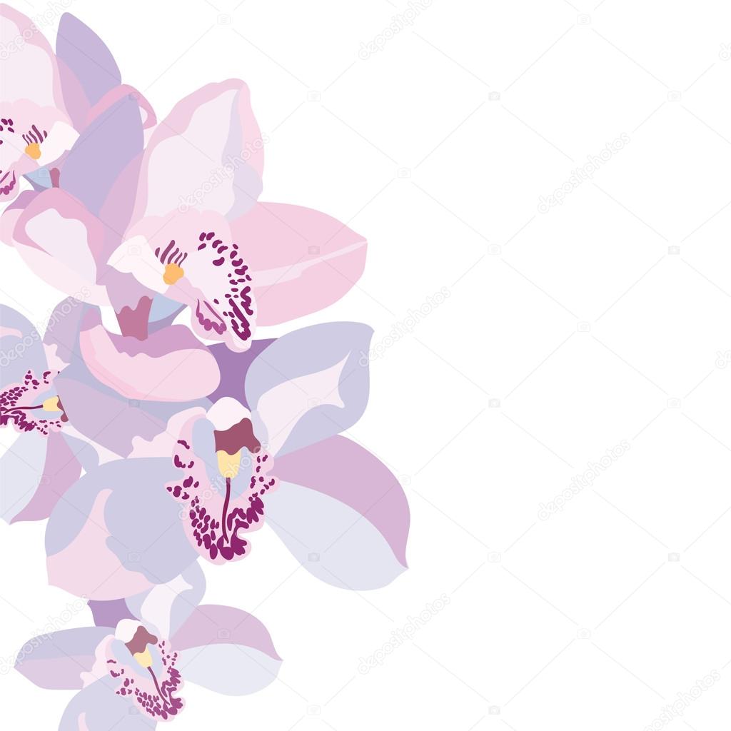 Vector Orchid flowers Stock Vector by ©inagraur.ymail.com 117275250