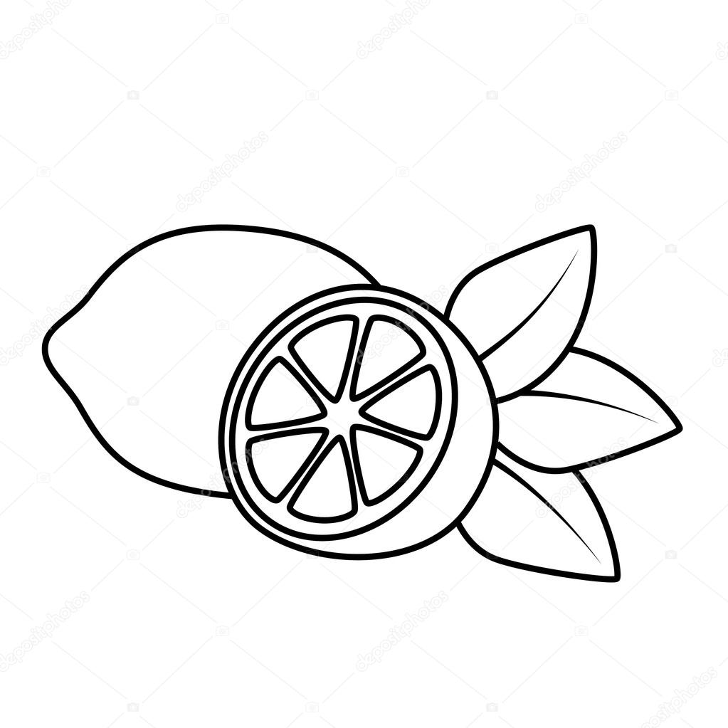 Lemon Line Art