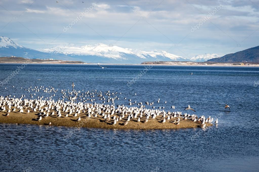 Beautiful scenario in Ushuaia city in south Argentina, Patagonia Stock ...