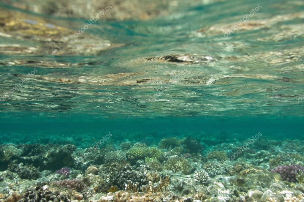 Ocean Floor Background