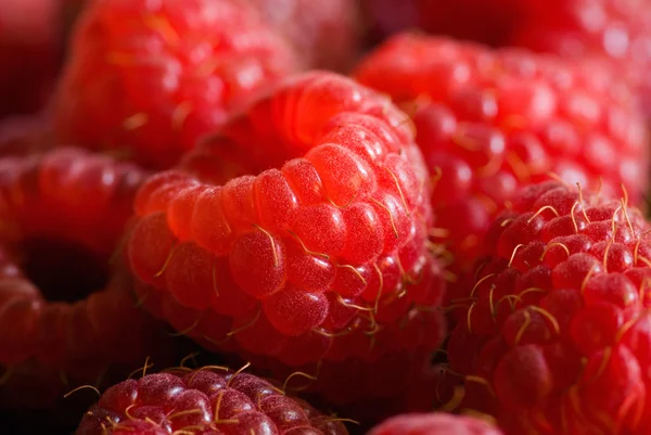Ripe red Raspberries Stock Photo by ©microgen 116039144
