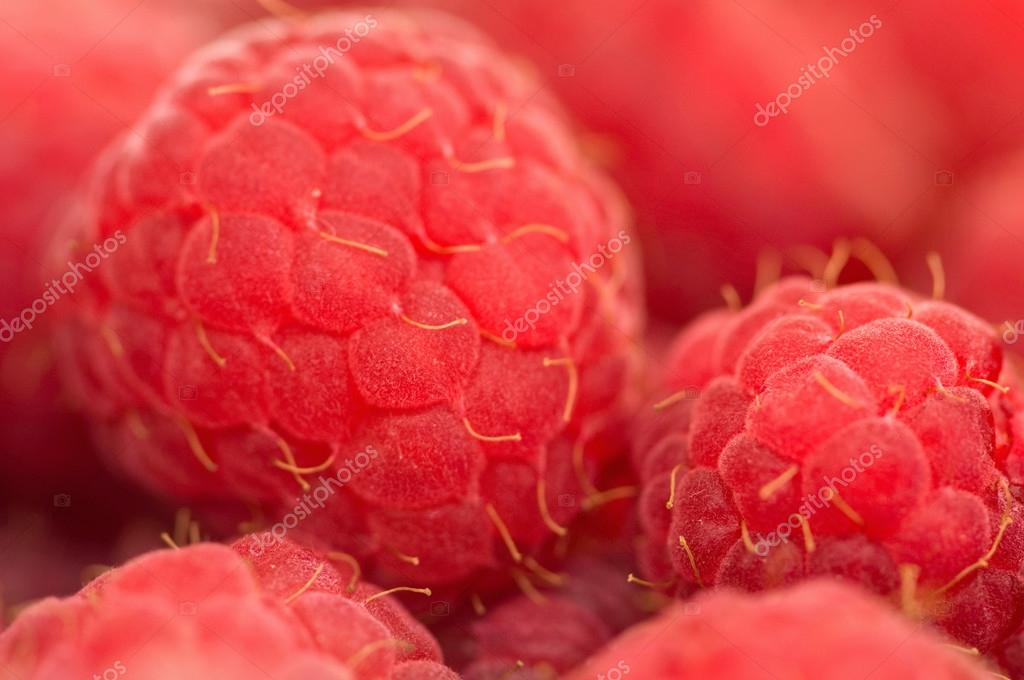 Ripe red Raspberries Stock Photo by ©microgen 116039144