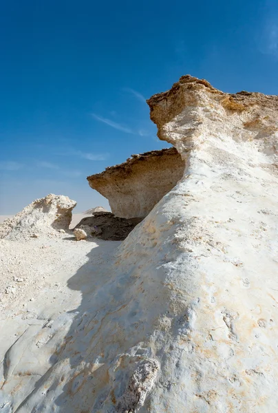 Qatar nature Images - Search Images on Everypixel