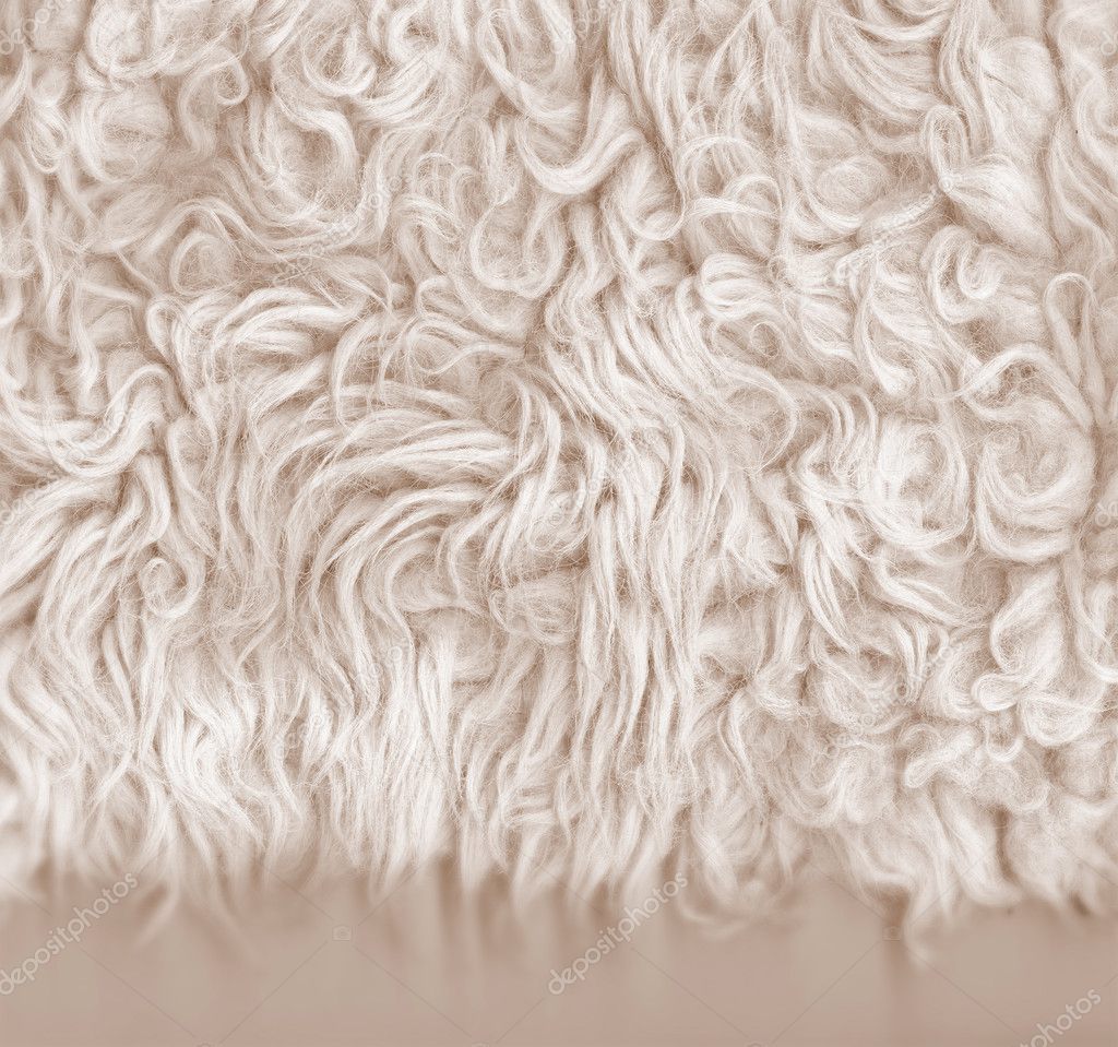 Close-up brown fur texture — Stock Photo © oksanka007 #100552338