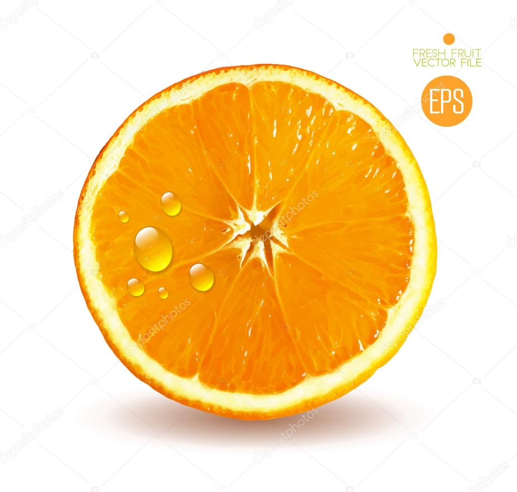 Half Orange Slice Vector