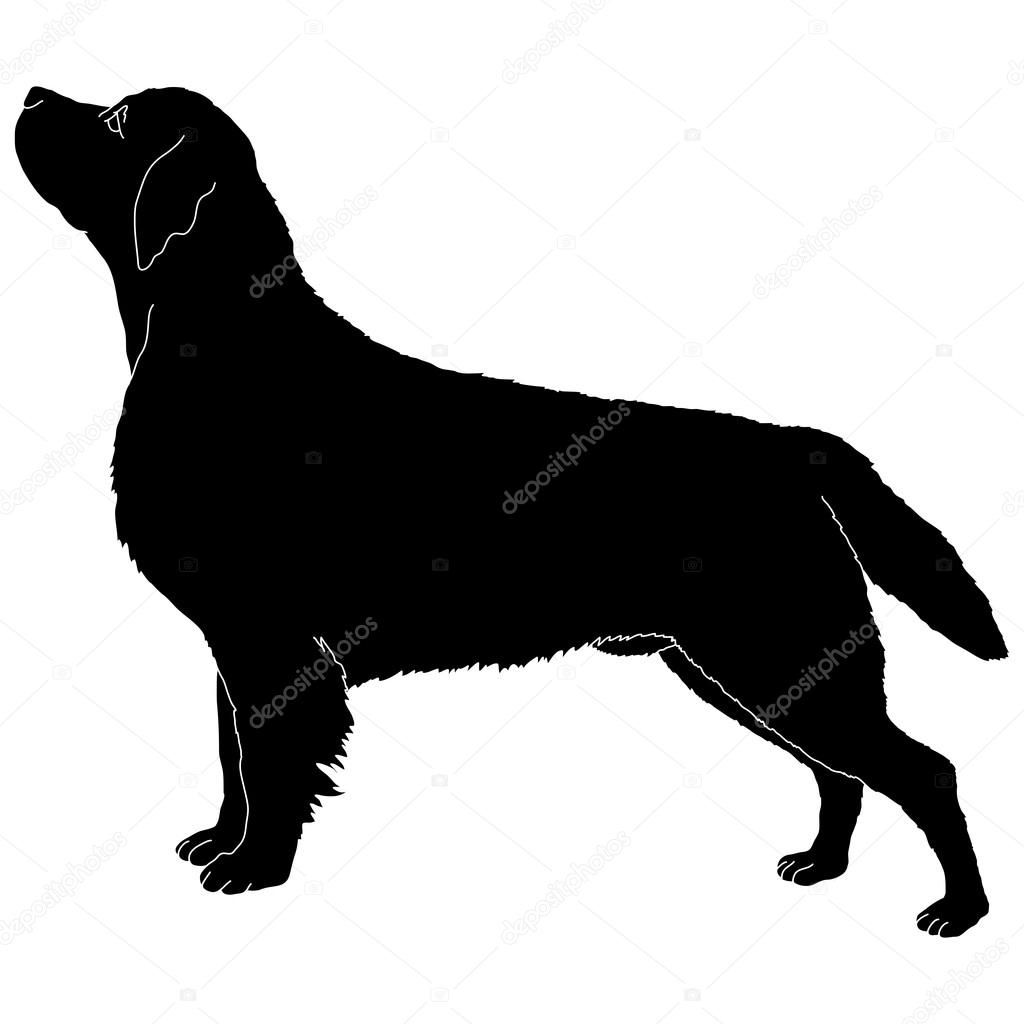 Lab Silhouette Vector