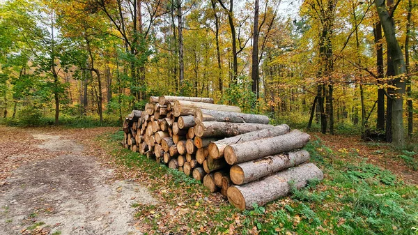 Lumber recycling Stock Photos, Royalty Free Lumber recycling Images ...