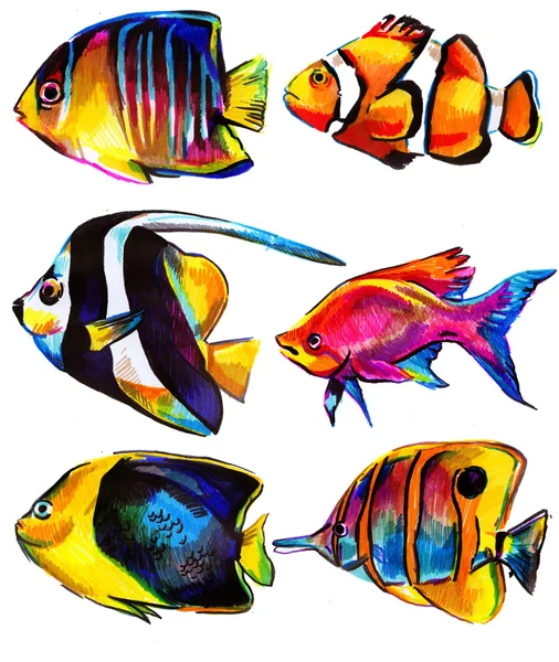 Fish set Stock Photos, Royalty Free Fish set Images | Depositphotos