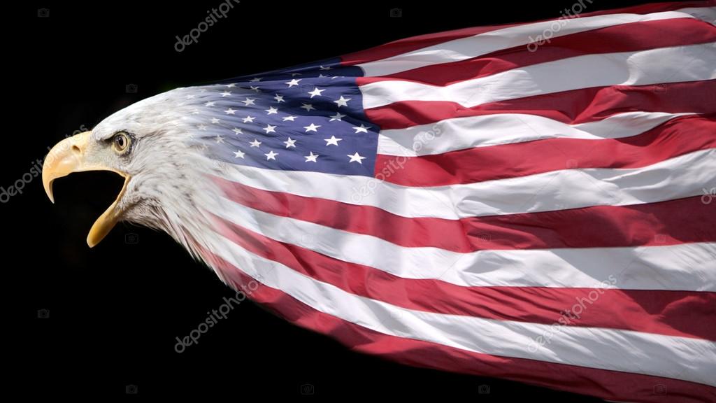 American Flag With Eagle Banner