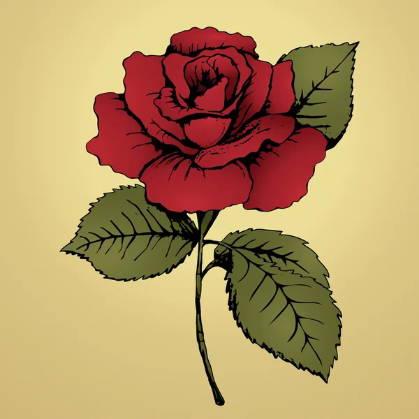 Sketsa Lukisan Bunga Mawar