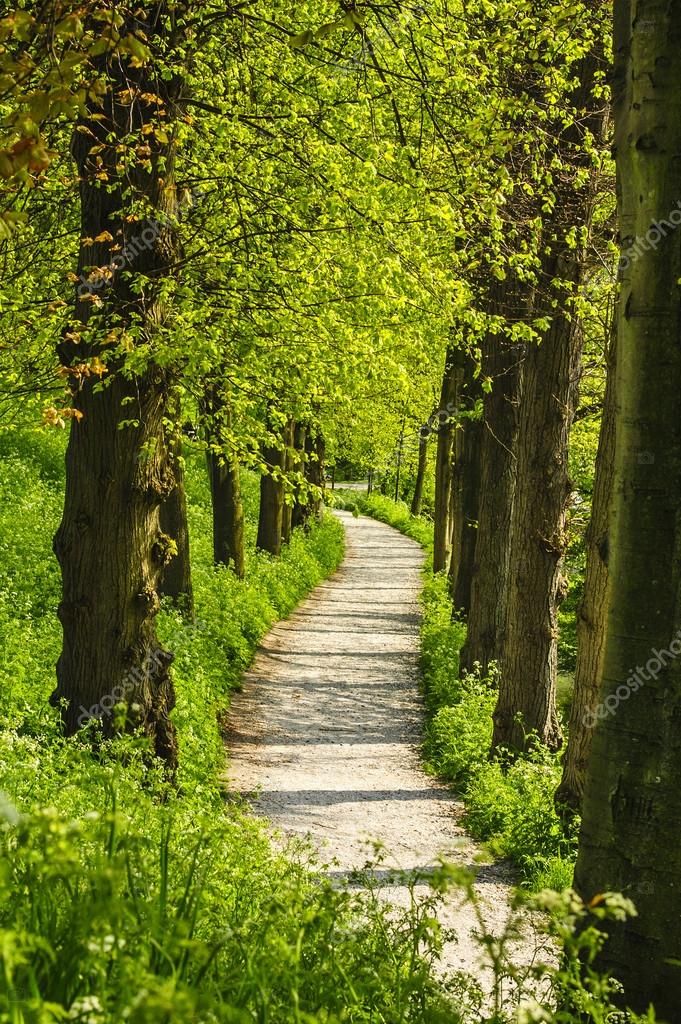 Curved footpath in a park Stock Photo by ©kopylova32.zonnet.nl 100912912