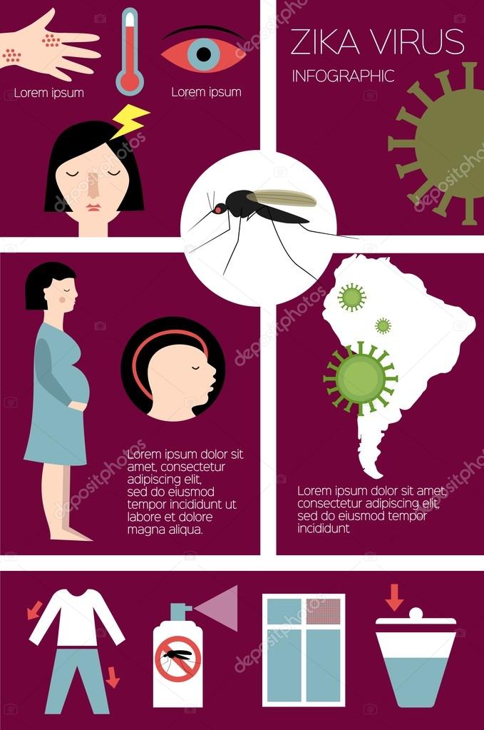 Zika virus infographic — Stock Vector © AnnaIsaeva #98988098