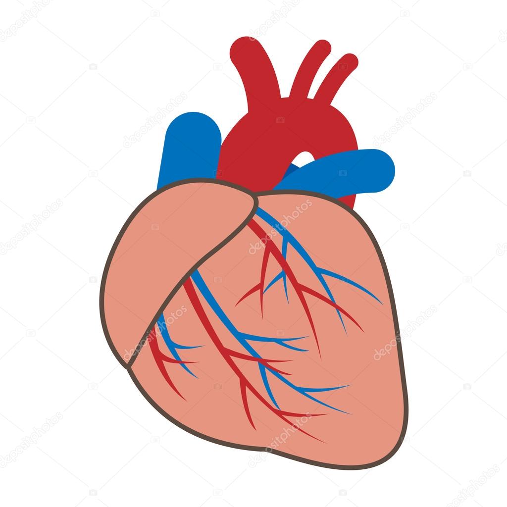 Illustrasjon av hjertet – stockvektor ©ankomando 123645122
