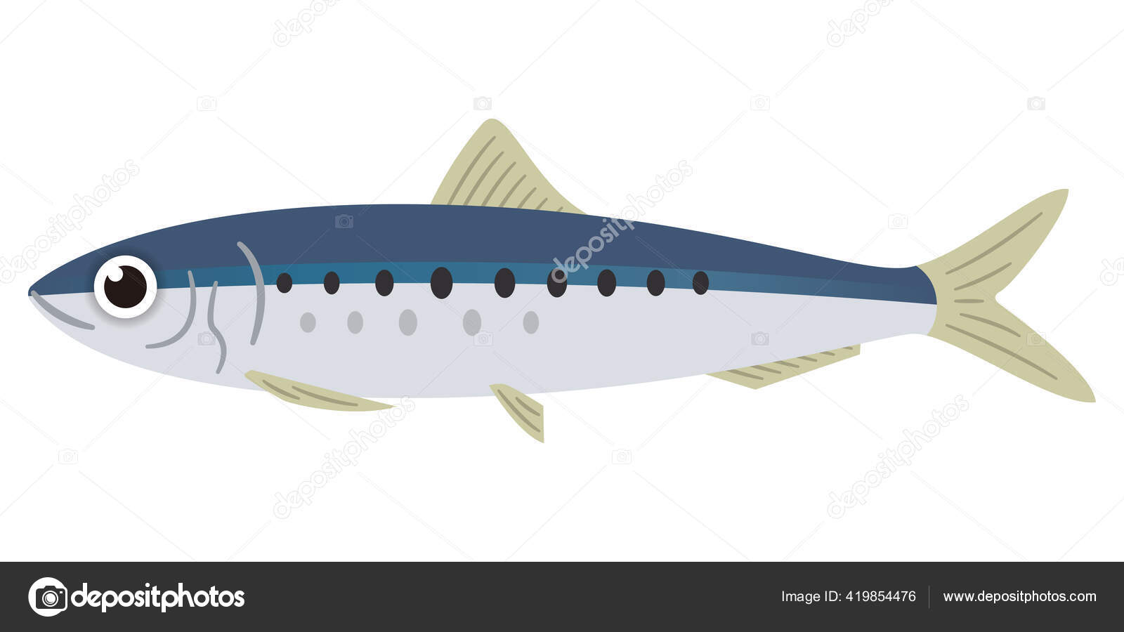 Ilustración Sencilla Sardinas Sobre Fondo Blanco vector, gráfico ...