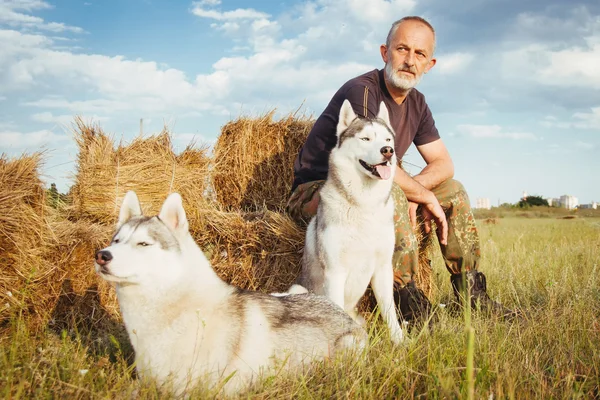 Old man with a beard sitting on a haystack with their dogs, enjoying ...