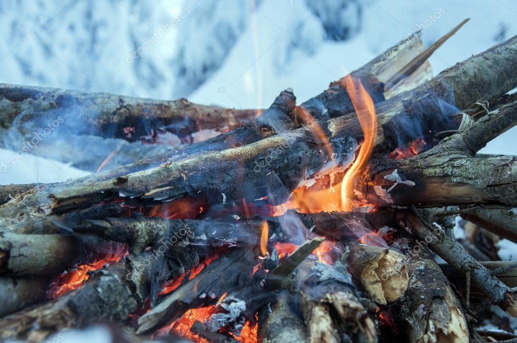 Fire burns in the snow in the woods, on a background of snow-covered ...