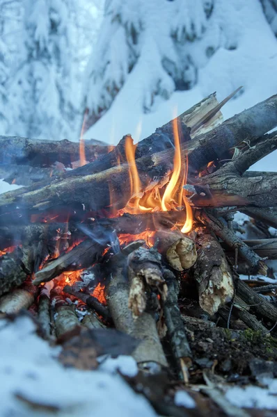 Winter camping fire Stock Photos, Royalty Free Winter camping fire ...
