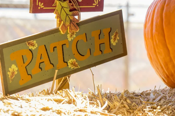 Corn maze Stock Photo by ©ReminisceLTD 33176809