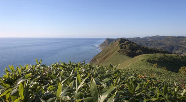 Tatar strait stock fotografie, royalty free Tatar strait obrázky ...