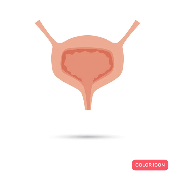 100,000 Female external genitalia Vector Images | Depositphotos