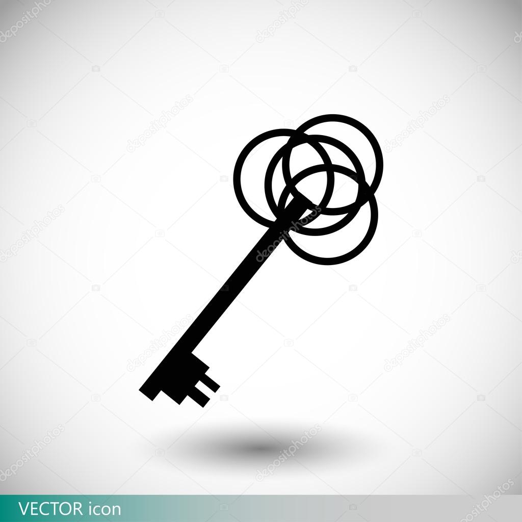 Key sign icon Stock Vector Image by ©SimVA #119463544
