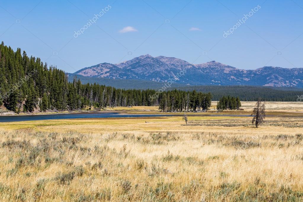Yellowstone National Park — Stock Photo © oscity #100546736