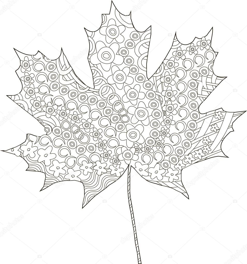 Sugar Maple Leaf Outline
