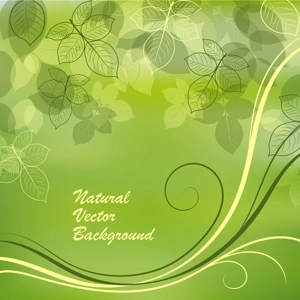 Nature background medicine Vector Art Stock Images | Depositphotos