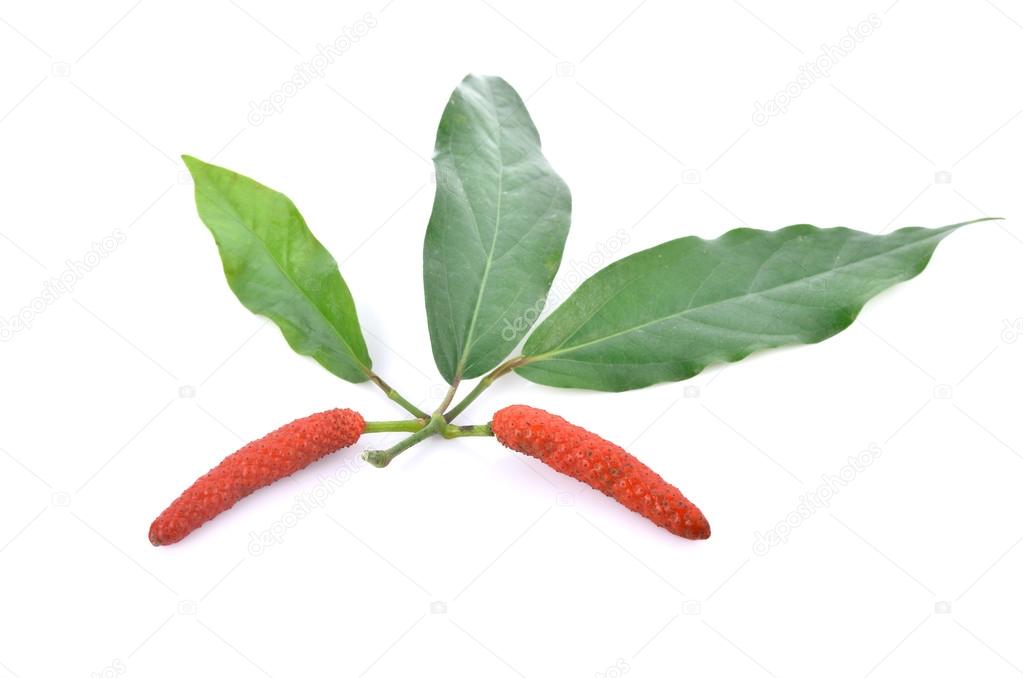 Long pepper or Piper longum isolated on white background Stock Photo by ...