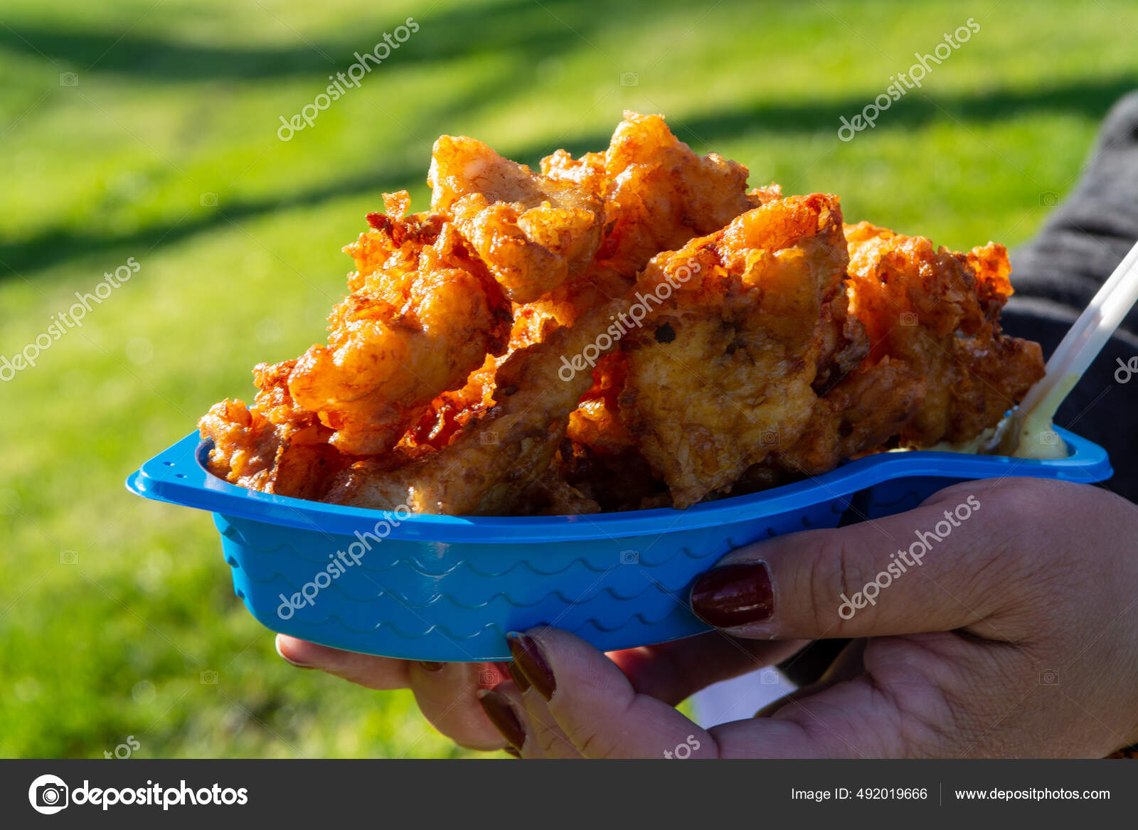 Outdoor Eating Diep Fried Cod Fish Pieces Served Remoulade Sauce ...
