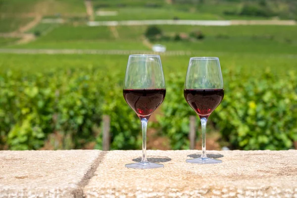 Tasting of burgundy red wine from grand cru pinot noir vineyards, two ...