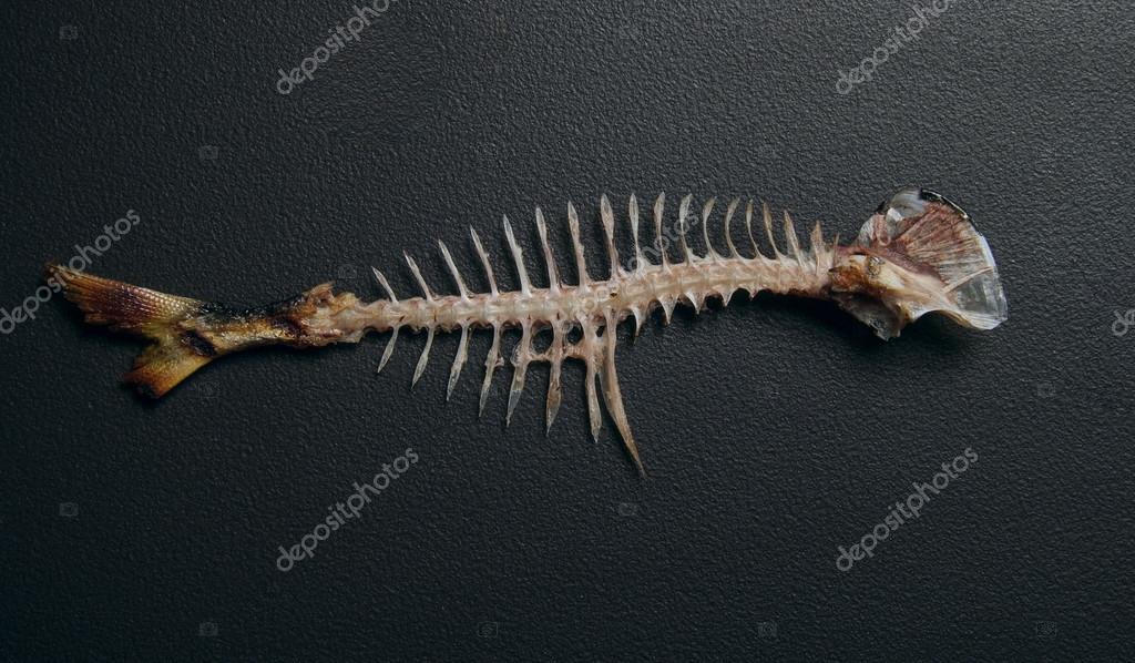 Fishbone on the black background — Stock Photo © simplesseller.gmail ...