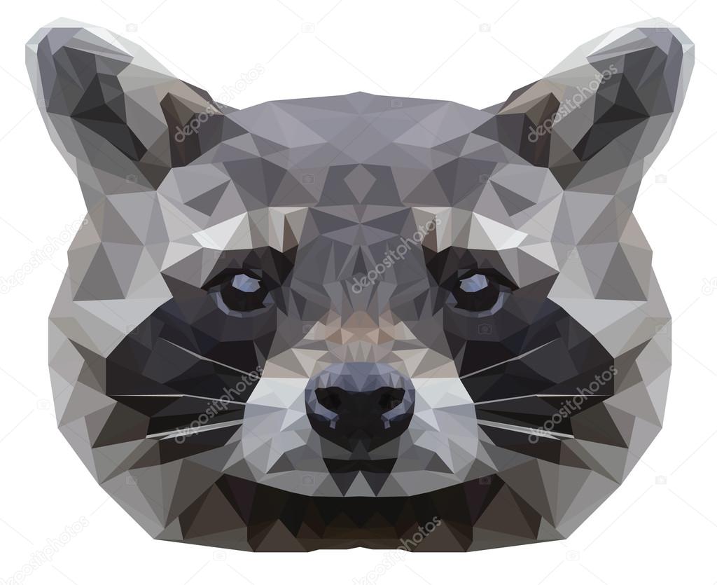 Coon portrait. Abstract low poly design. Vector illustration. Stock ...