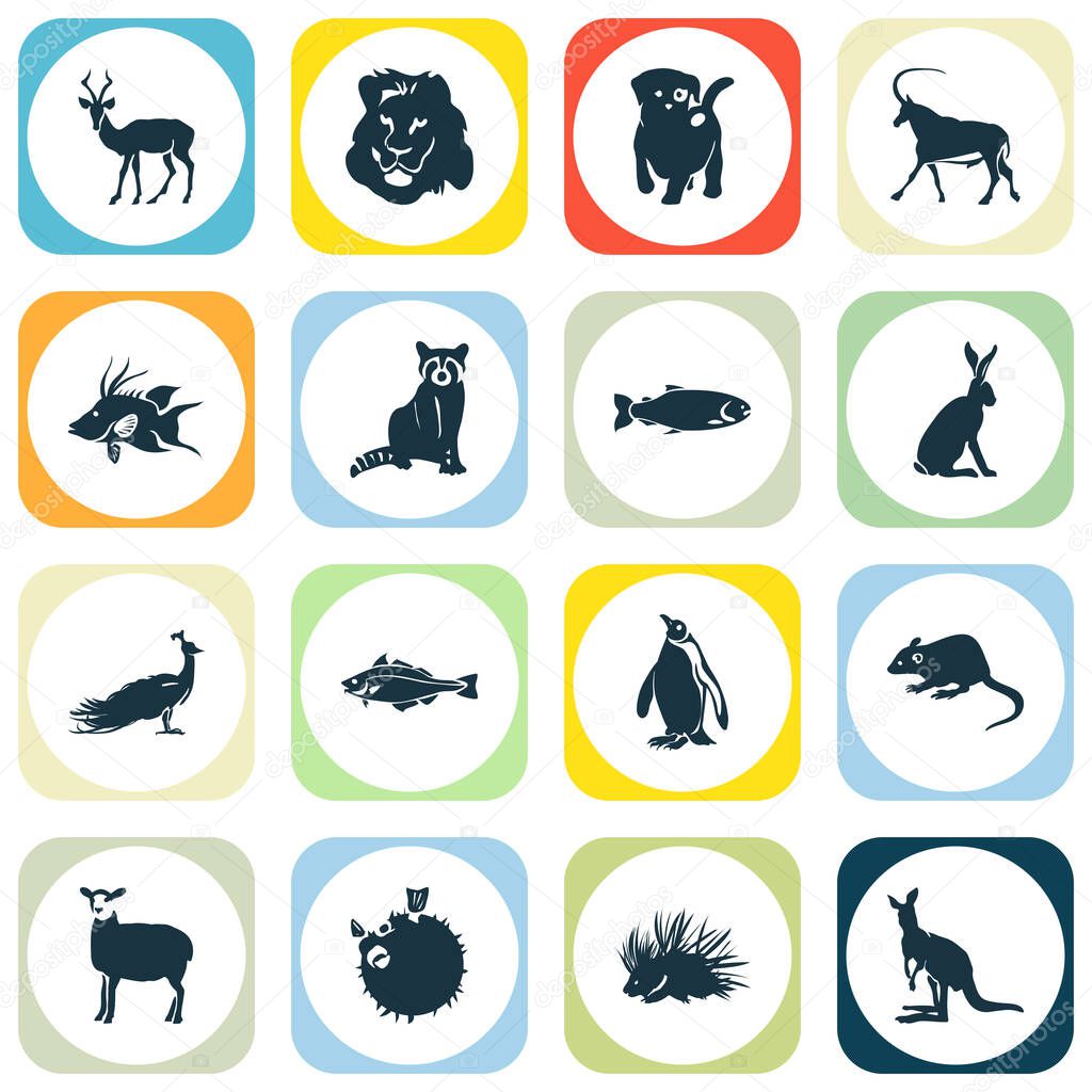 Iconos de fauna engastados con mapache, puercoespín, pez cerdo y otros ... Iconos de fauna engastados con mapache, puercoespín, pez cerdo y otros ...