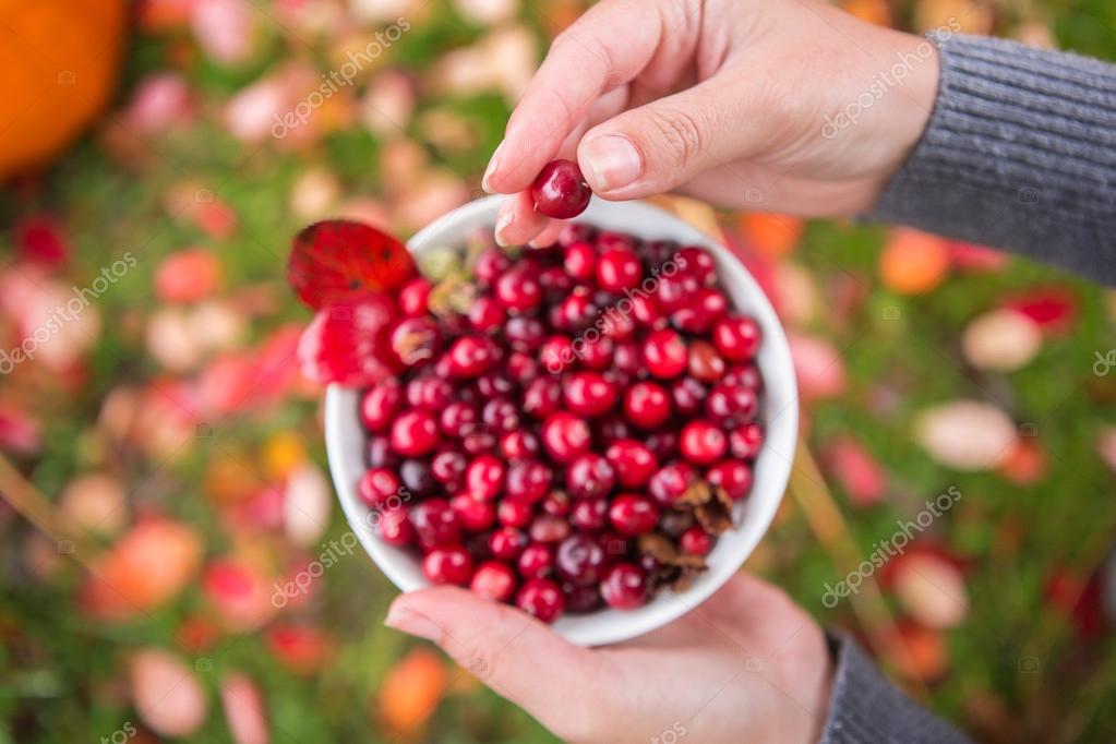Girl picking berries — Stock Photo © Scharfsinn #111633632